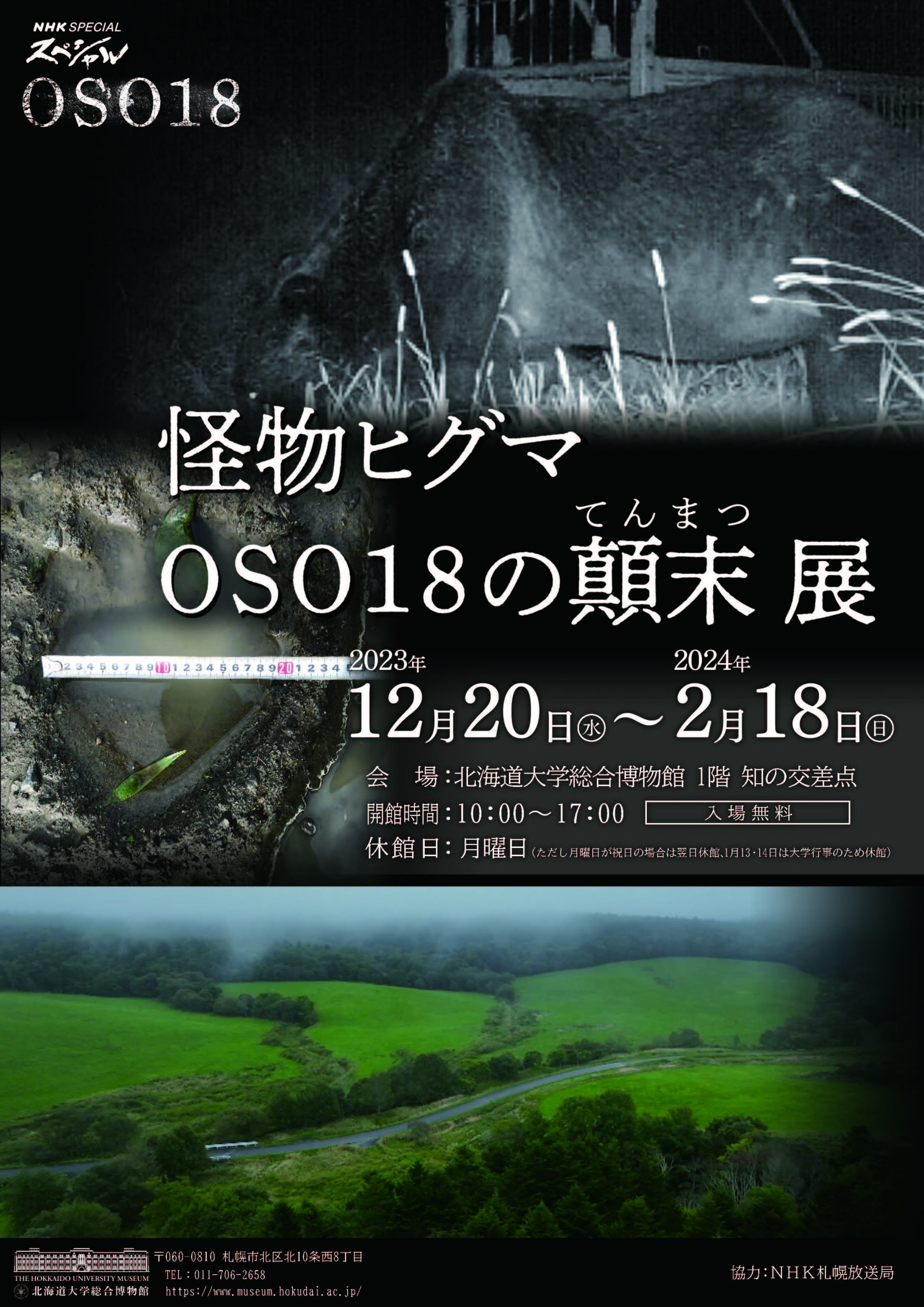 【12月20日～2月18日 開催】「怪物ヒグマ OSO18の顛末展」 | 北海道大学総合博物館
